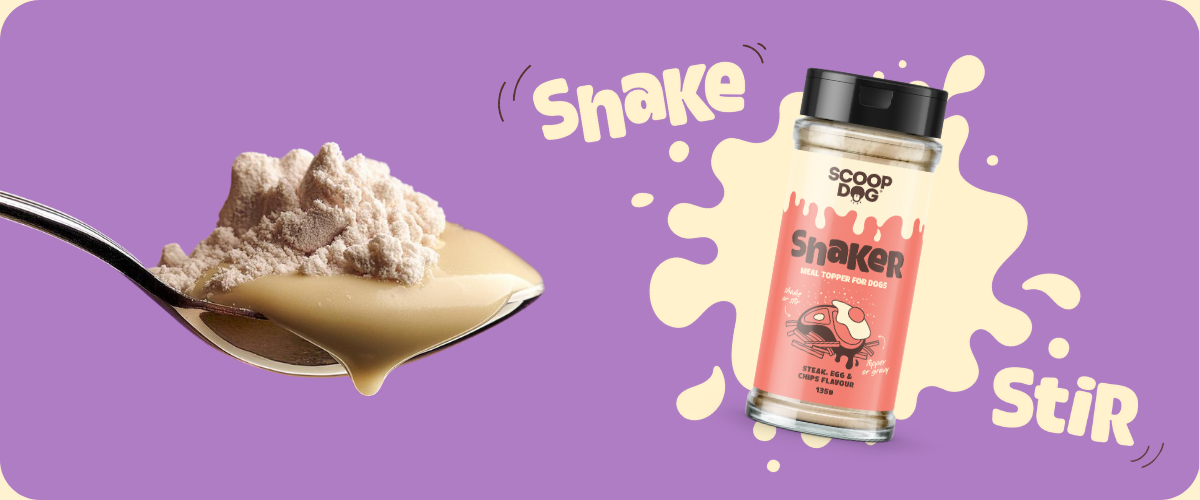 Scoop Dog - Fun Treats For Dogs!