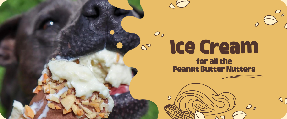 Scoop Dog - Fun Treats For Dogs!