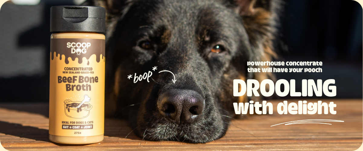 Scoop Dog - Fun Treats For Dogs!